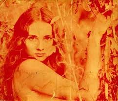 Capturing Britannia | Rosamond Press