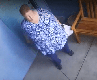 Sue Hafner Knew About Biography? | Rosamond Press